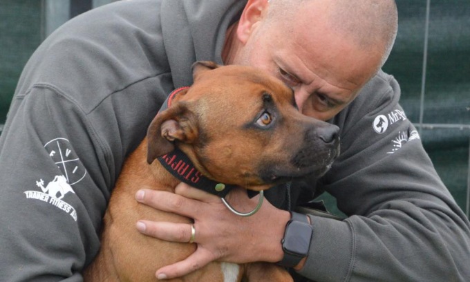 Sparò e uccise un ladro in fuga, Massimo Zen: "Oggi mi girerei dall ...